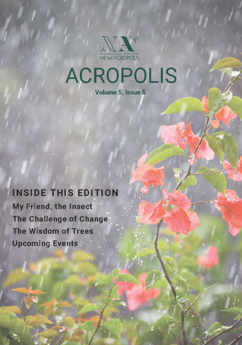 ACROPOLIS Monsoon Edition: 2023 – New Acropolis Cultural Organization